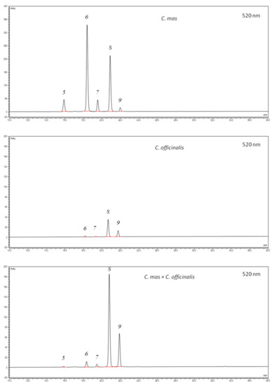 Iridoids, Flavonoids, and Antioxidant Capacity of Cornus mas, C ...