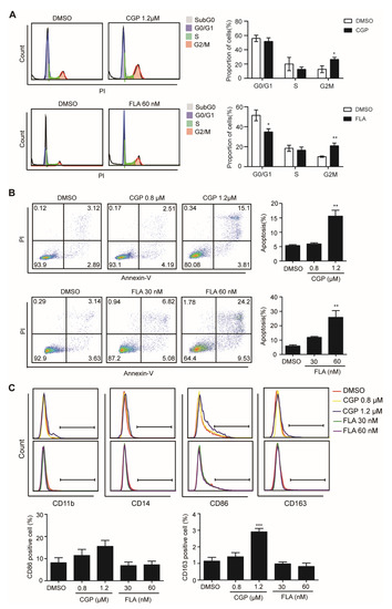 DNMT3A Mutation-Induced CDK1 Overexpression Promotes Leukemogenesis by ...