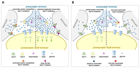 Inhibition of Glycine Re-Uptake: A Potential Approach for Treating Pain ...