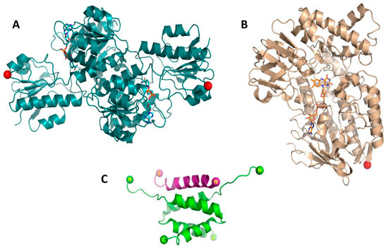 Modular Assembly of Phosphite Dehydrogenase and Phenylacetone ...