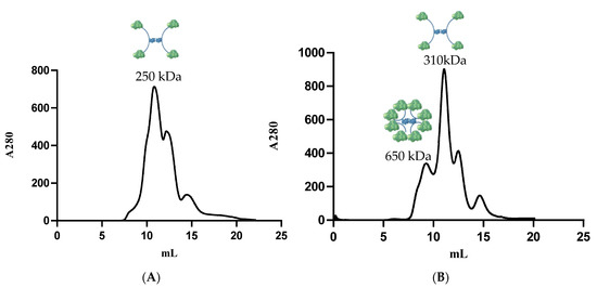 Modular Assembly of Phosphite Dehydrogenase and Phenylacetone ...