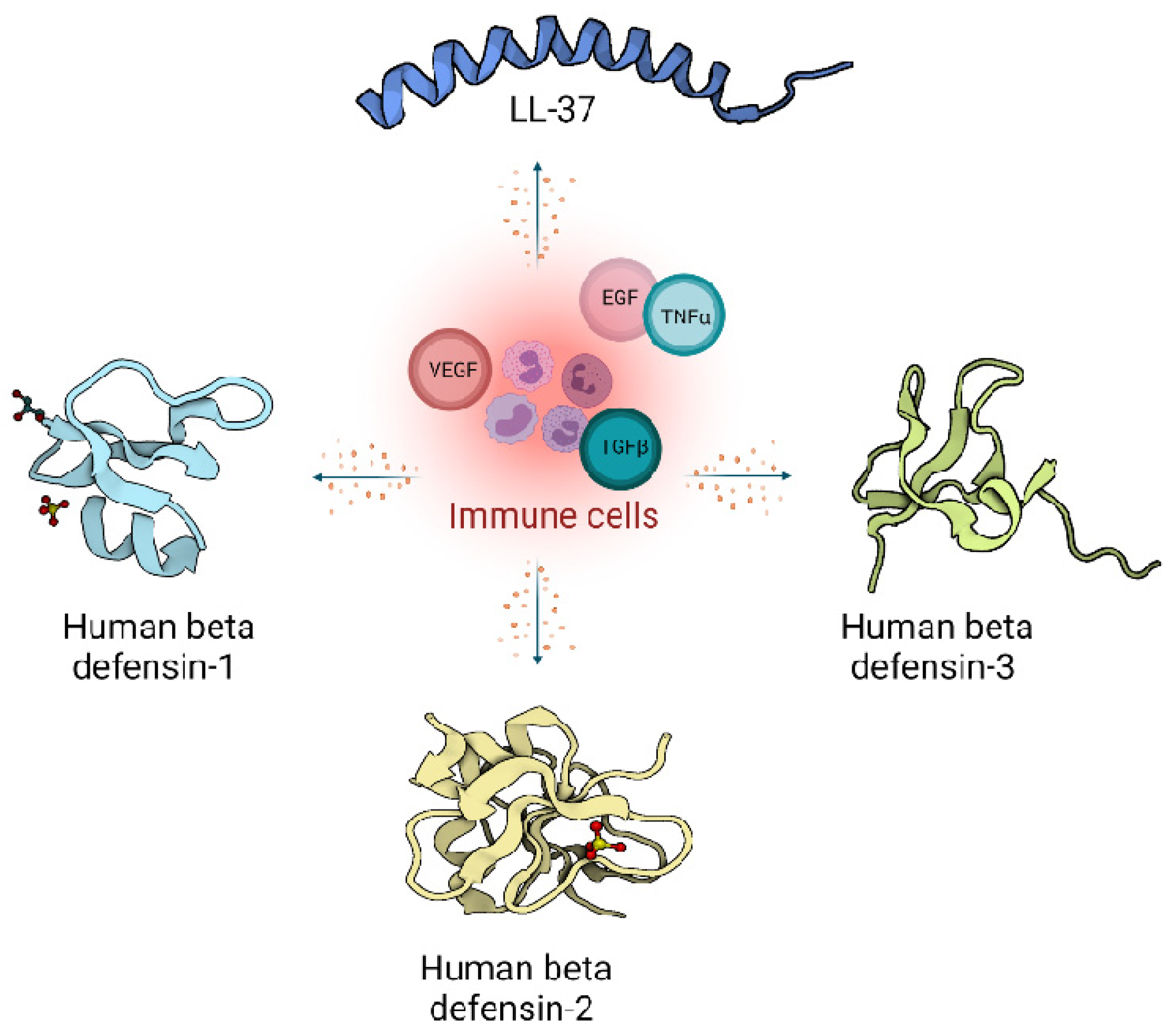 Immunomodulatory Properties of Host Defence Peptides in Skin Wound Healing