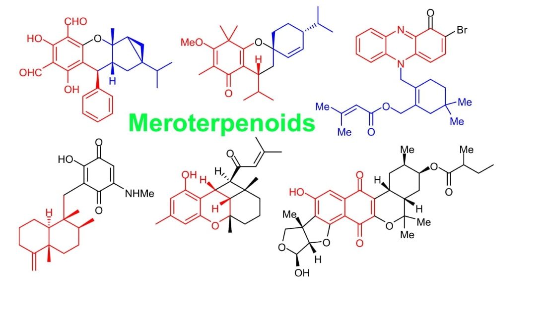 Biomolecules | Free Full-Text | Meroterpenoids: A Comprehensive Update ...