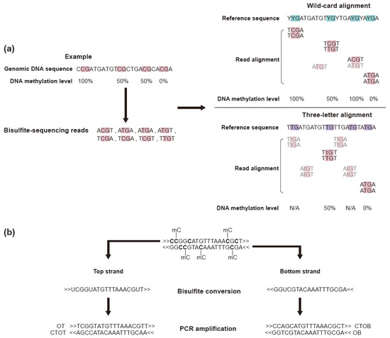 Introduction to Single-Cell DNA Methylation Profiling Methods