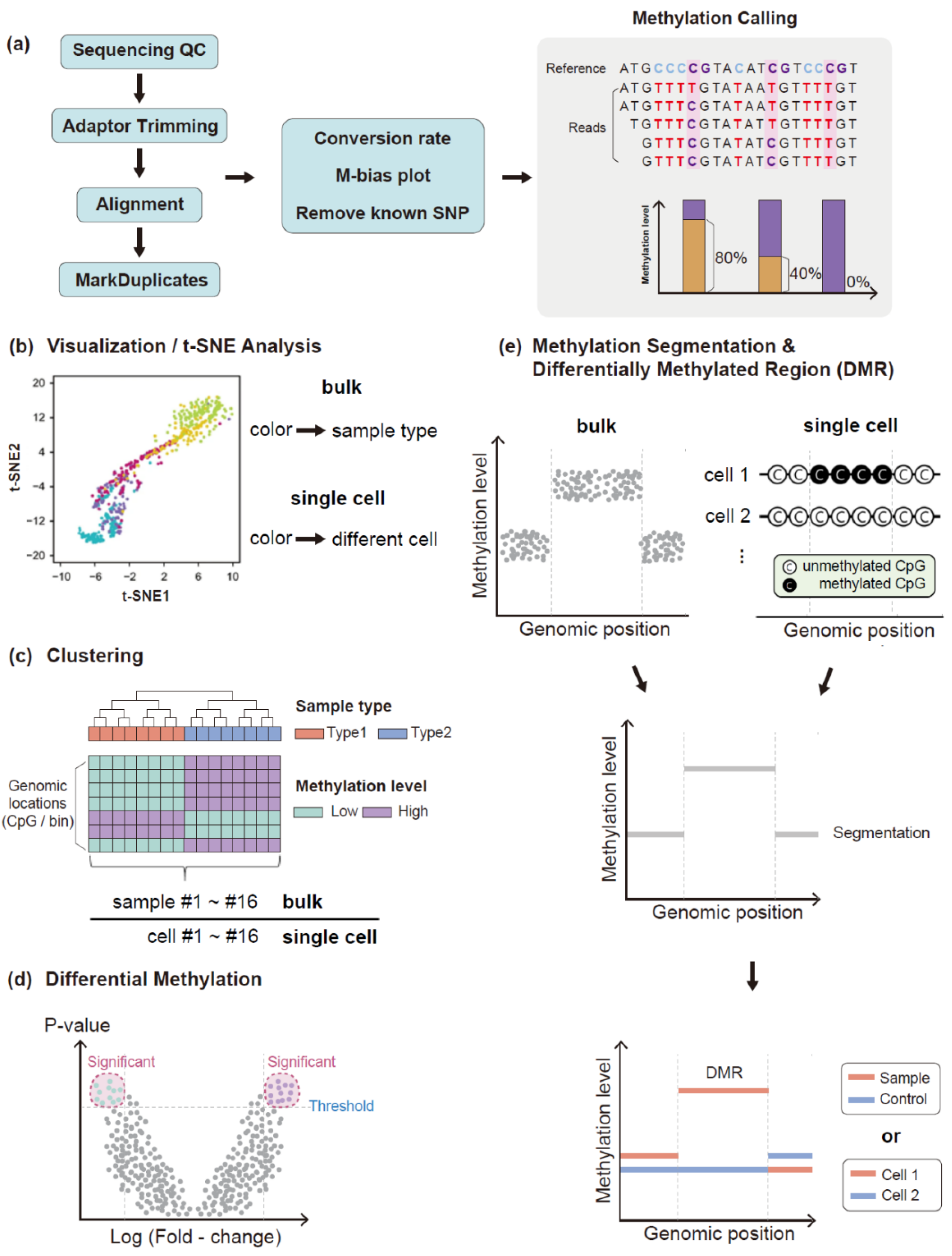 Introduction to Single-Cell DNA Methylation Profiling Methods