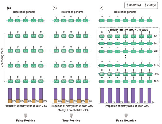 Introduction to Single-Cell DNA Methylation Profiling Methods