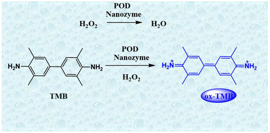 Peroxidase Mimetic Nanozymes in Cancer Phototherapy: Progress and ...