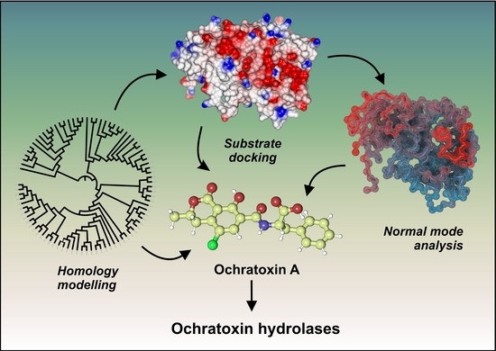 Biomolecules | Free Full-Text | Systematic Structure-Based Search for ...