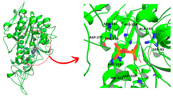 Tissue-Nonspecific Alkaline Phosphatase (TNAP) as the Enzyme Involved ...