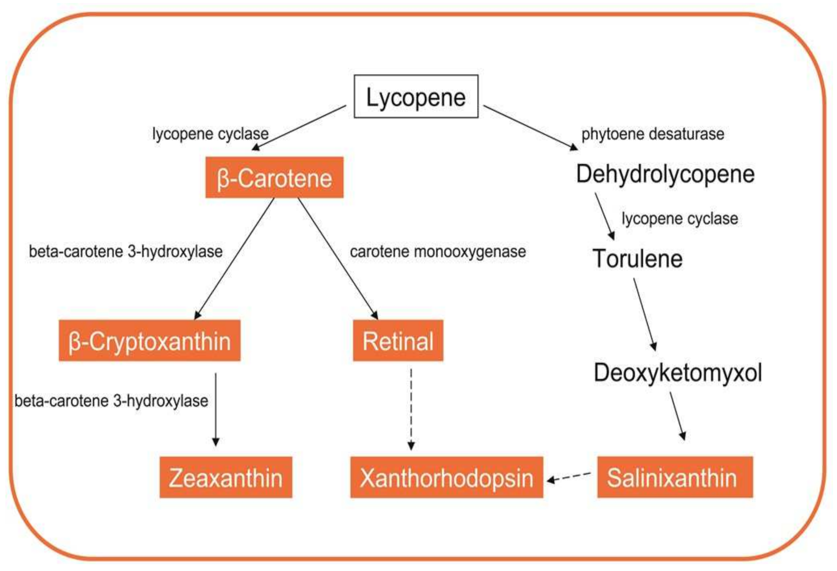 Biomolecules | Free Full-Text | Identification of Biomolecules Involved ...
