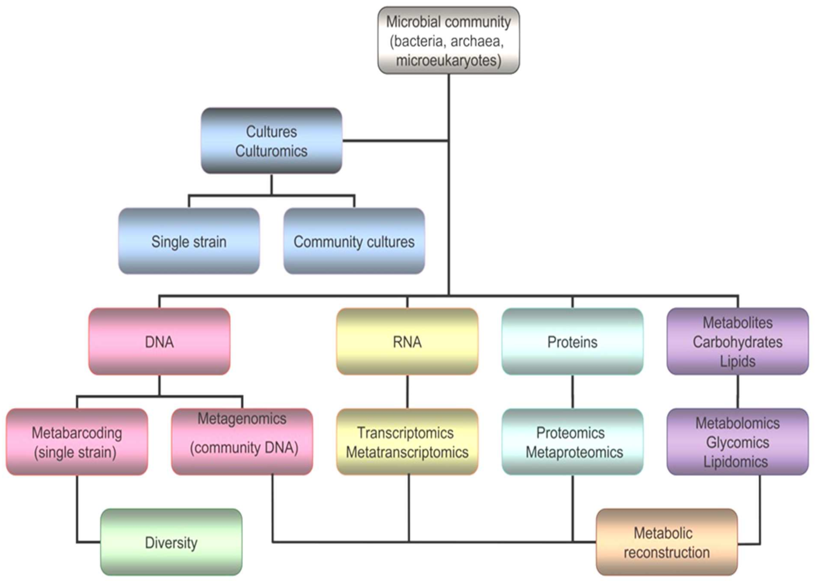Biomolecules | Free Full-Text | Identification of Biomolecules Involved ...