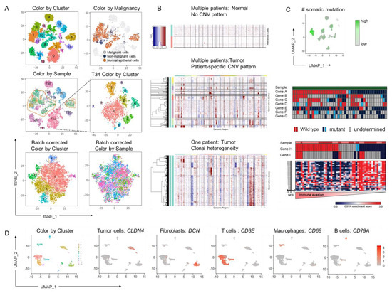 Clinical Perspectives of Single-Cell RNA Sequencing