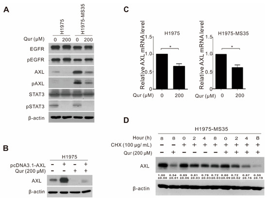 Growth Suppression in Lung Cancer Cells Harboring EGFR-C797S Mutation ...