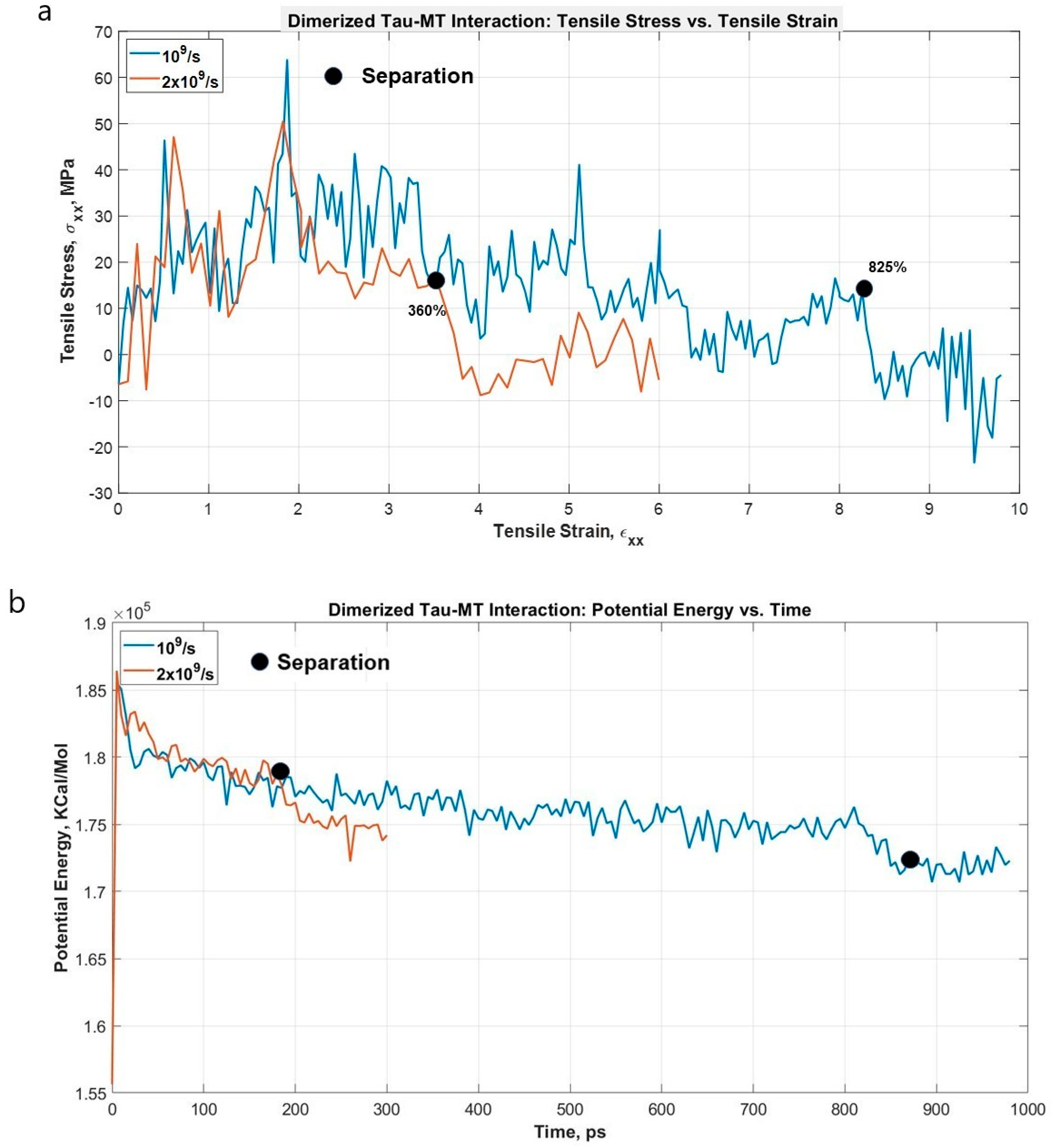 Biomolecules | Free Full-Text | Effect of Strain Rate on Single Tau ...