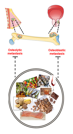 Biomolecules | Free Full-Text | Mediterranean Diet Food Components as ...