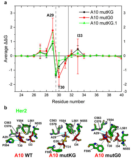 CDR1 Composition Can Affect Nanobody Recombinant Expression Yields