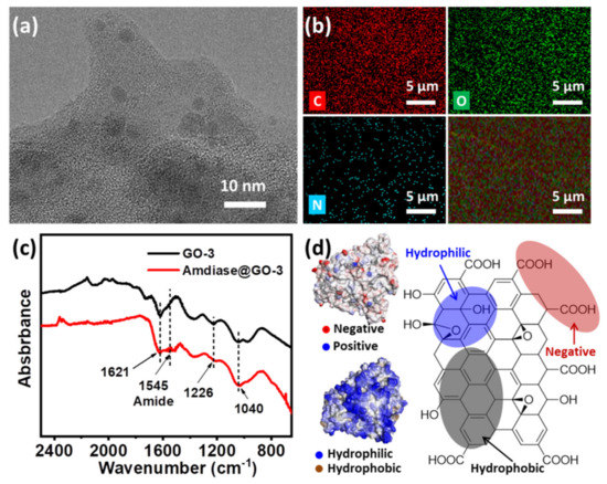 Surface Modulation of Graphene Oxide for Amidase Immobilization with ...