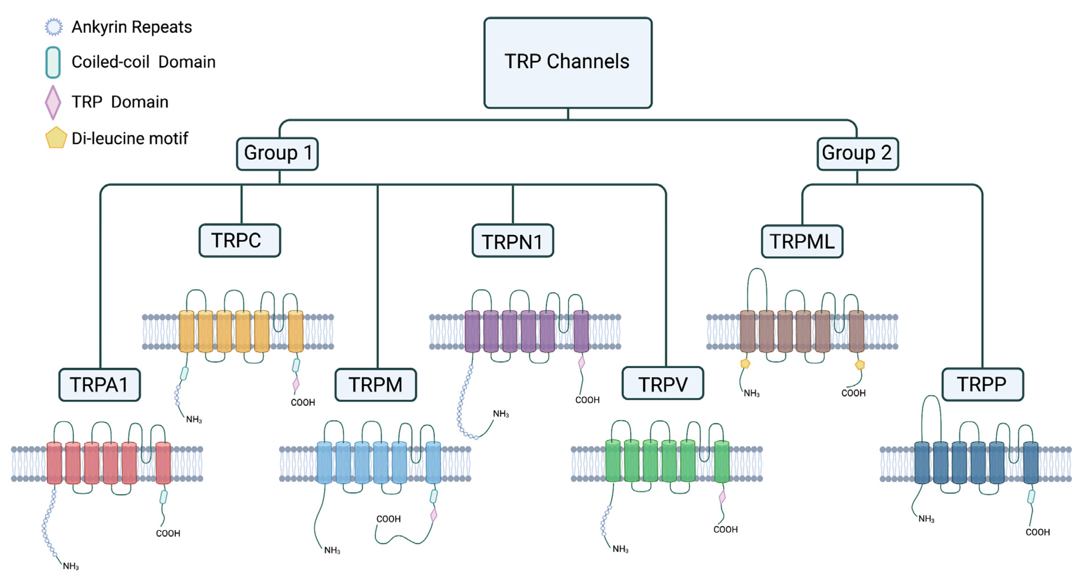 TRP Channels as Sensors of Aldehyde and Oxidative Stress