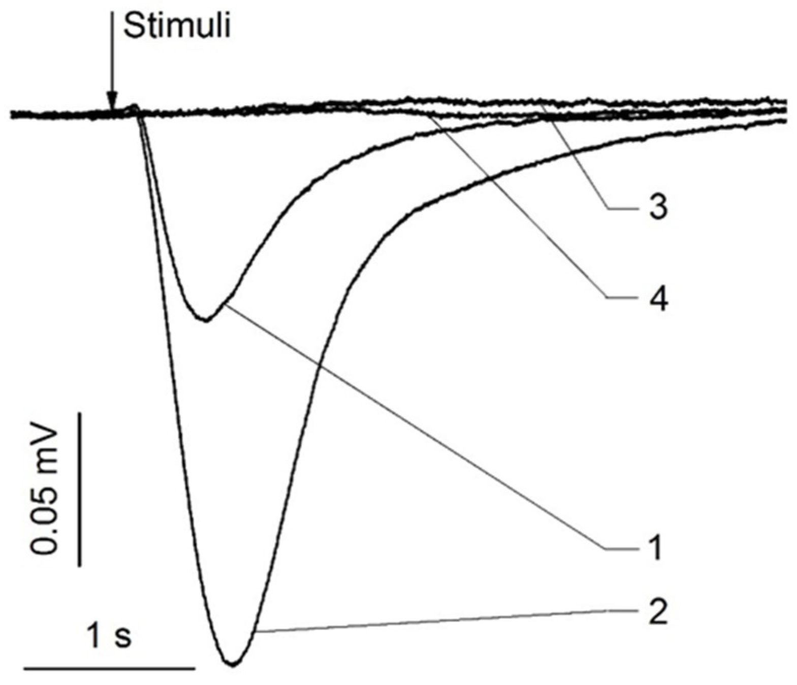 The Role of Endogenous Metal Nanoparticles in Biological Systems