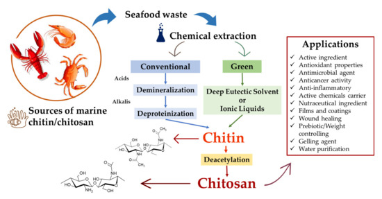 Chitosan as a Valuable Biomolecule from Seafood Industry Waste in the ...