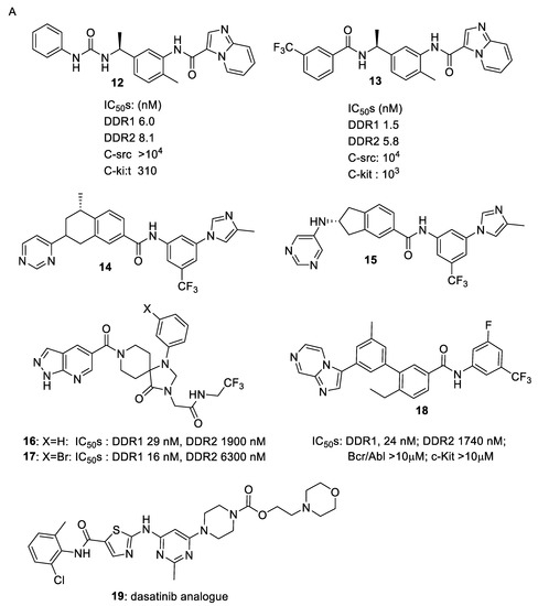 Biomolecules | Free Full-Text | Inhibitors of Discoidin Domain Receptor (DDR) Kinases for Cancer ...