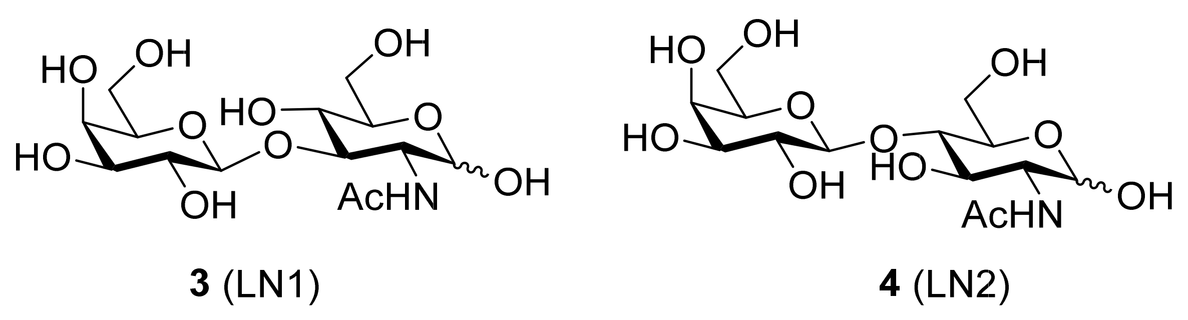 Functions and Inhibition of Galectin-7, an Emerging Target in Cellular ...