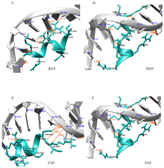 Biomolecules | Free Full-Text | Comprehensive Characterization of the Coding and Non-Coding ...