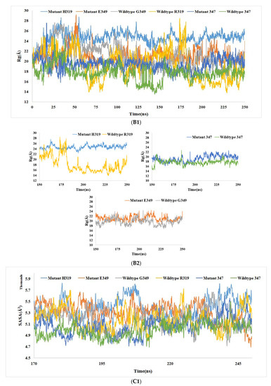 Biomolecules | Free Full-Text | Comprehensive Characterization of the Coding and Non-Coding ...