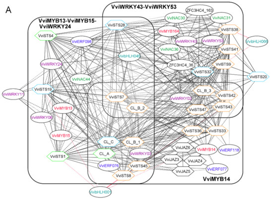 Vitis OneGenE: A Causality-Based Approach to Generate Gene Networks in ...