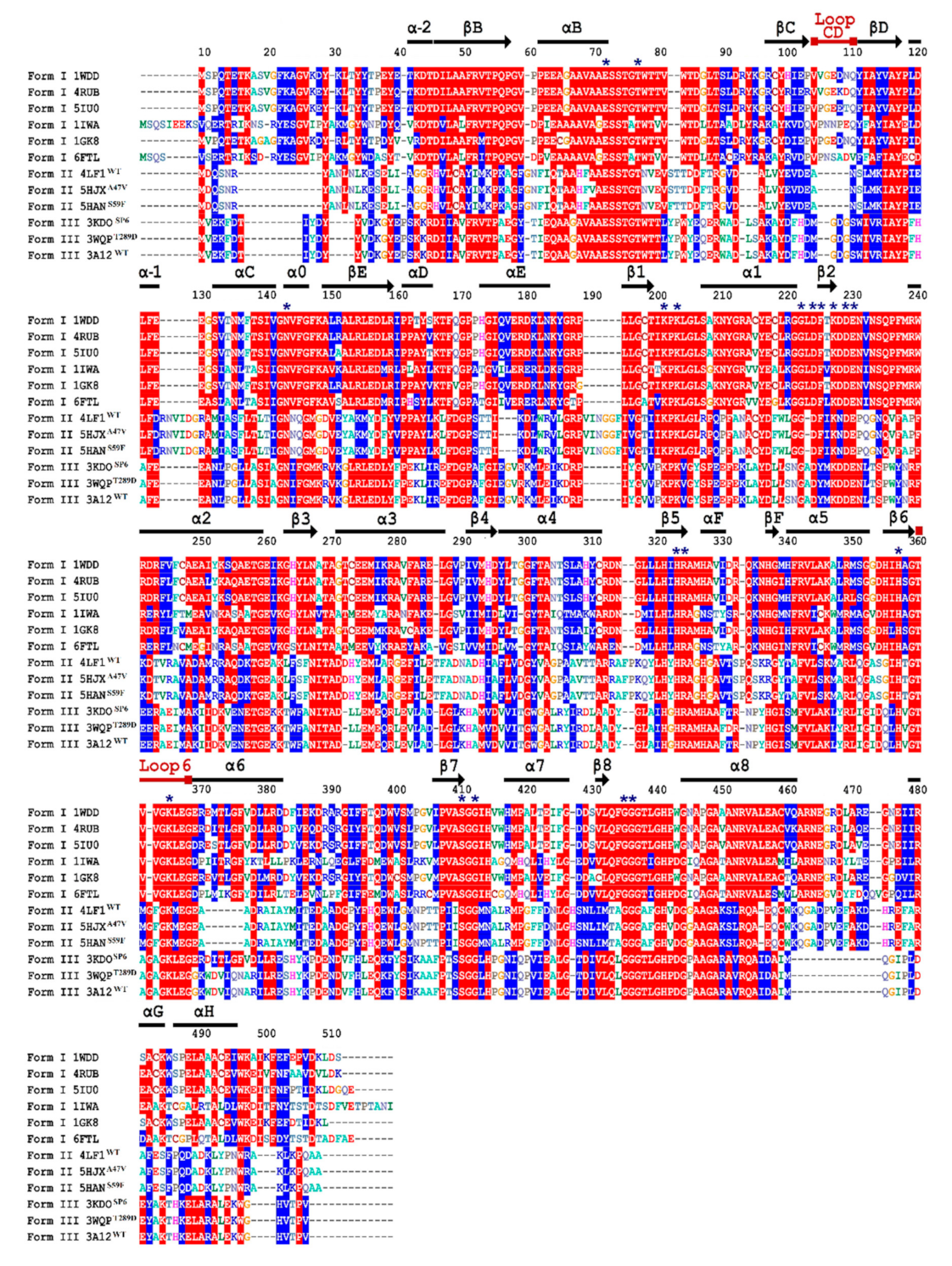 An Insight of RuBisCO Evolution through a Multilevel Approach