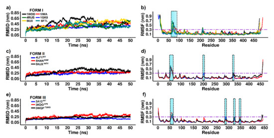 Biomolecules | Free Full-Text | An Insight of RuBisCO Evolution through ...