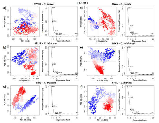 Biomolecules | Free Full-Text | An Insight of RuBisCO Evolution through ...