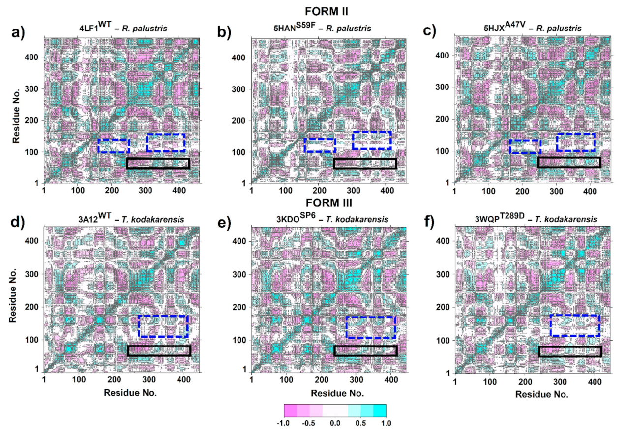 Biomolecules | Free Full-Text | An Insight of RuBisCO Evolution through ...