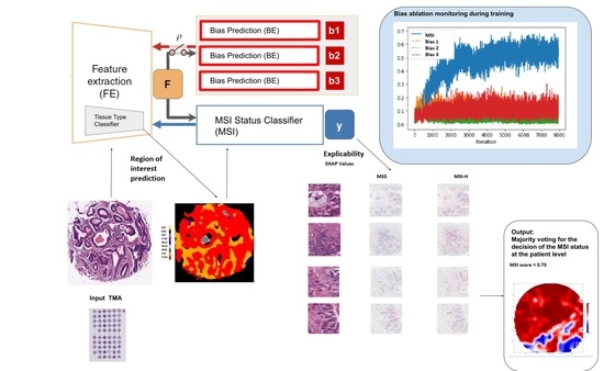 Biomolecules | Special Issue : Digital Pathology