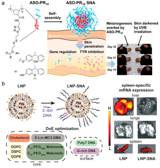 DNA Nanodevice-Based Drug Delivery Systems