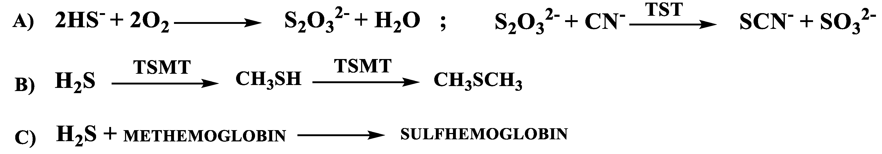 Ch3sch3 Lewis Structure
