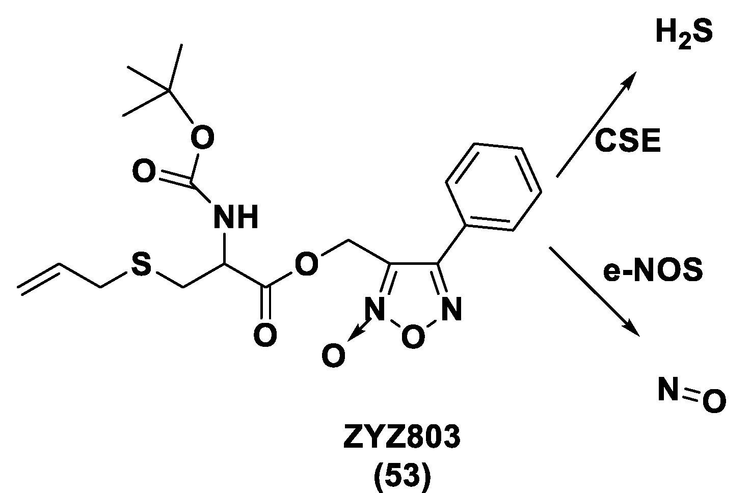 Biomolecules | Free Full-Text | H2S Donors and Their Use in Medicinal ...