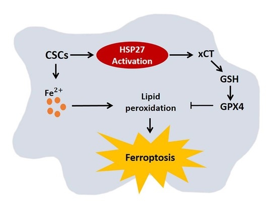 Biomolecules | Free Full-Text | Esophageal Cancer Stem-like Cells ...