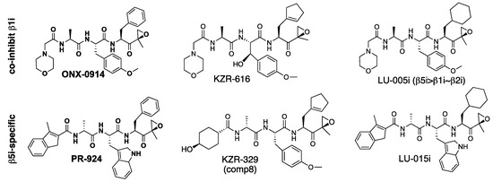 Site-Specific Proteasome Inhibitors