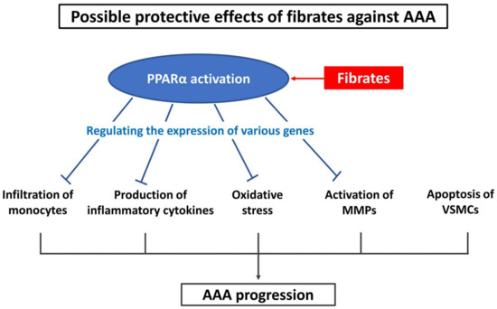 Fibrates: A Possible Treatment Option for Patients with Abdominal ...