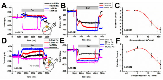 Functional and Kinetic Comparison of Alanine Cysteine Serine ...