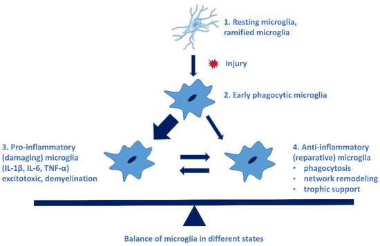Novel Therapeutic Target for Prevention of Neurodegenerative Diseases ...