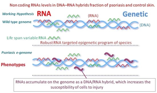Biomolecules | Free Full-Text | Decrease in RNase HII and Accumulation of lncRNAs/DNA Hybrids: A ...