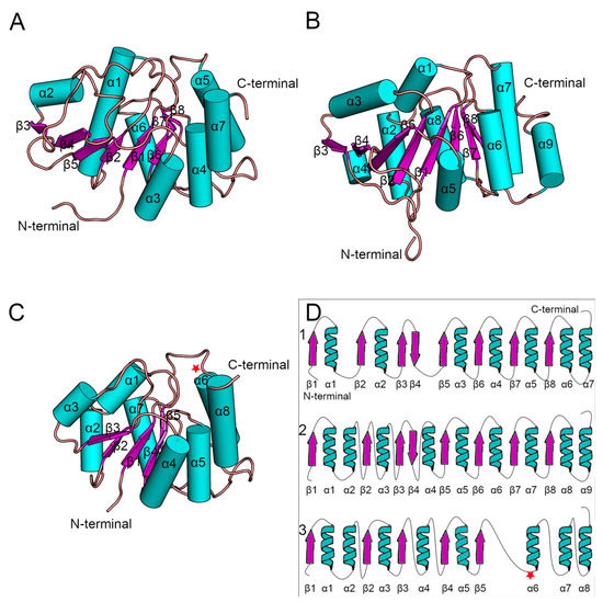 Structural Analysis of the Effect of Asn107Ser Mutation on Alg13 ...