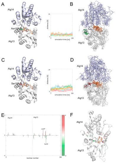 Structural Analysis of the Effect of Asn107Ser Mutation on Alg13 ...