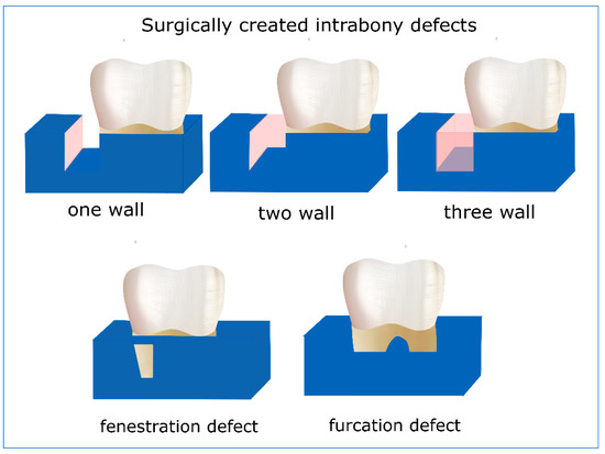 Biomolecules | Free Full-Text | A Review of In Vivo and Clinical ...