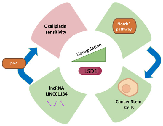The Role of LSD1 and LSD2 in Cancers of the Gastrointestinal System: An ...