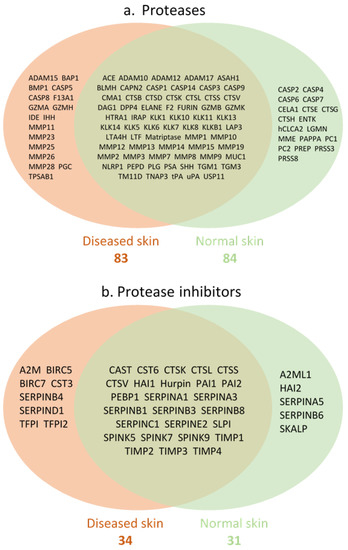 Defining the Protease and Protease Inhibitor (P/PI) Proteomes of ...