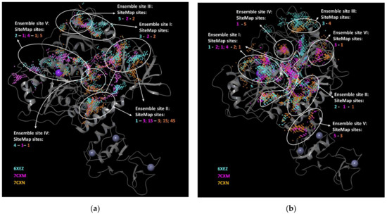 In Silico Insights towards the Identification of SARS-CoV-2 NSP13 Helicase Druggable Pockets