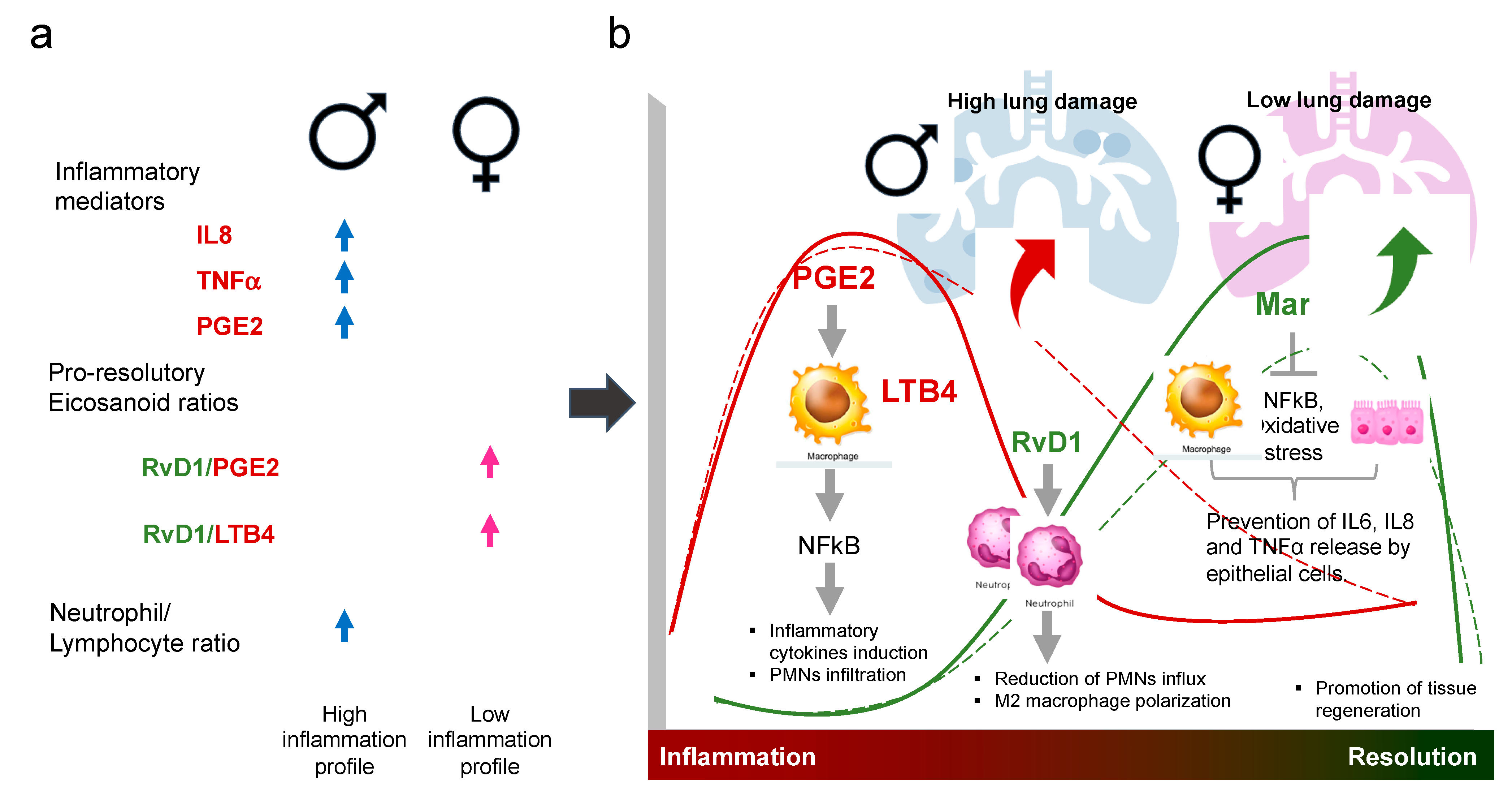 Biomolecules Free Full Text Sex Dependent Differential Expression